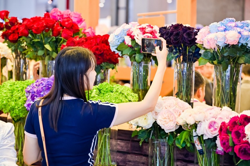 Kunming Flowers & Plants Expo 2025 | China’s Floral Hub